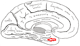 Po pierwsze kreatywność: Elementarz funkcjonowania pamięci