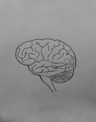 DRAW IT NEAT : How to draw human brain