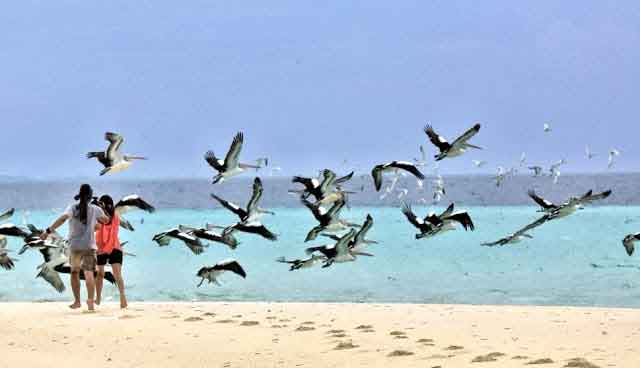 PANTAI NGUR TAVUR, SURGA TERSEMBUNYI DARI MALUKU TENGGARA