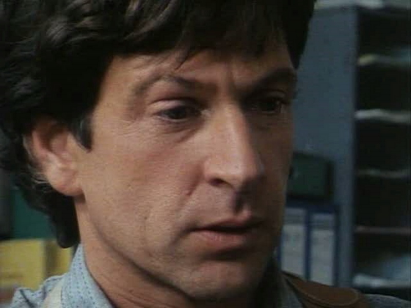 Filmovízia: Dempsey and Makepeace [1985-1986]
