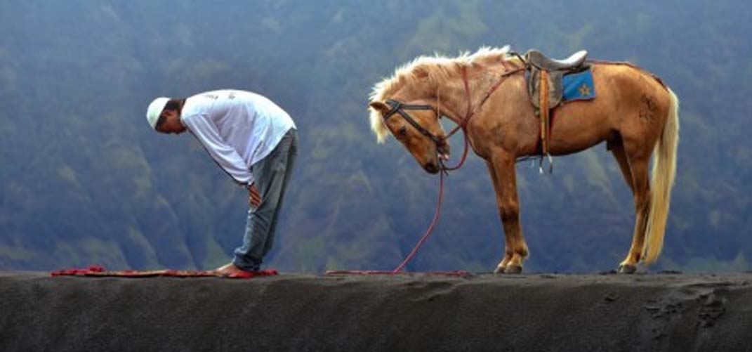 Ini Tata Cara Ruku dalam Shalat yang Dicontohkan Nabi