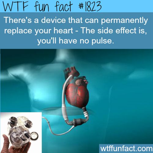 30 Amazing And Unbelievable Random Facts That Will Blow Your Mind ...