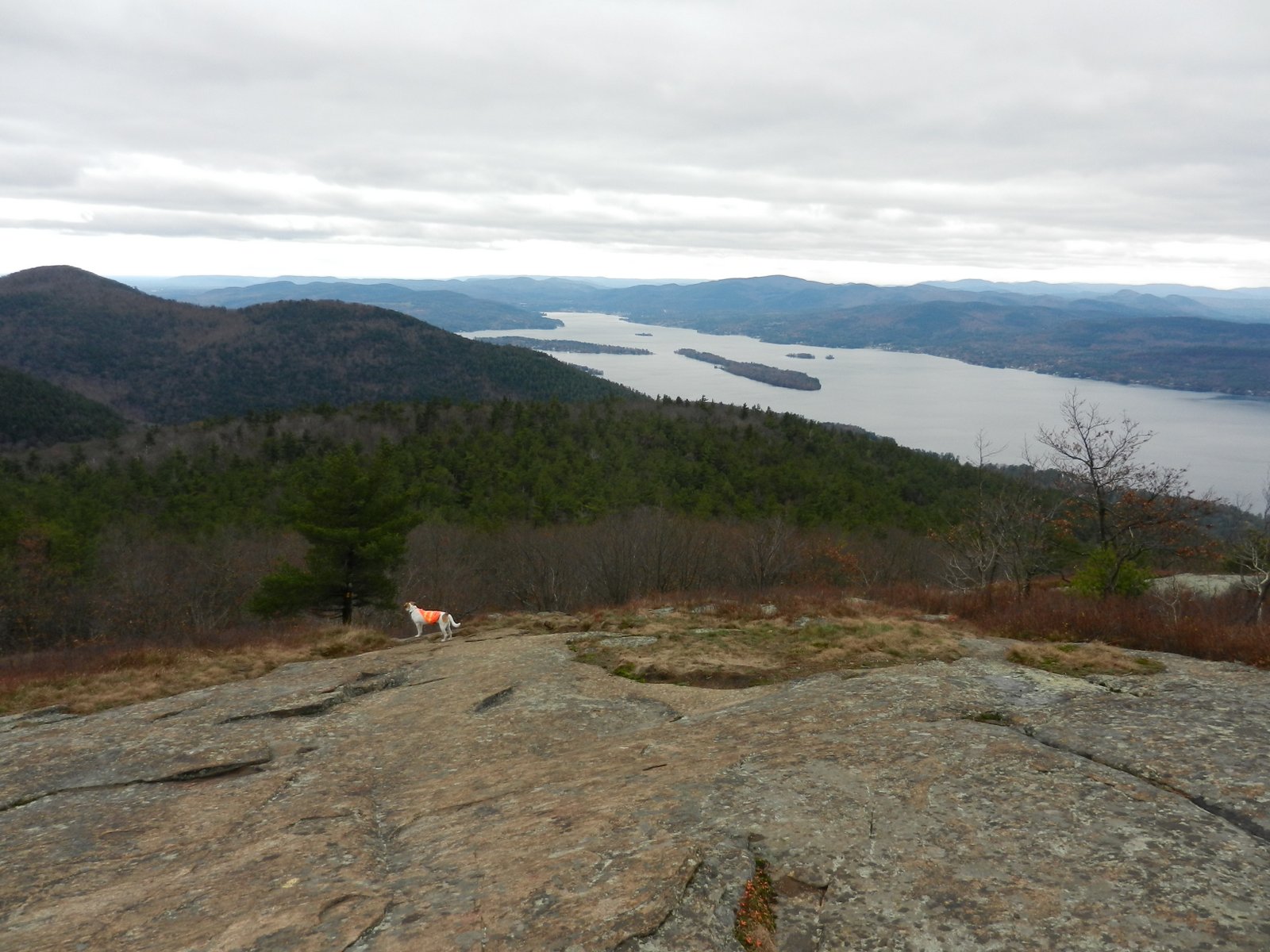Off on Adventure: Buck Mountain - Lake George Wild Forest - 11/2/12