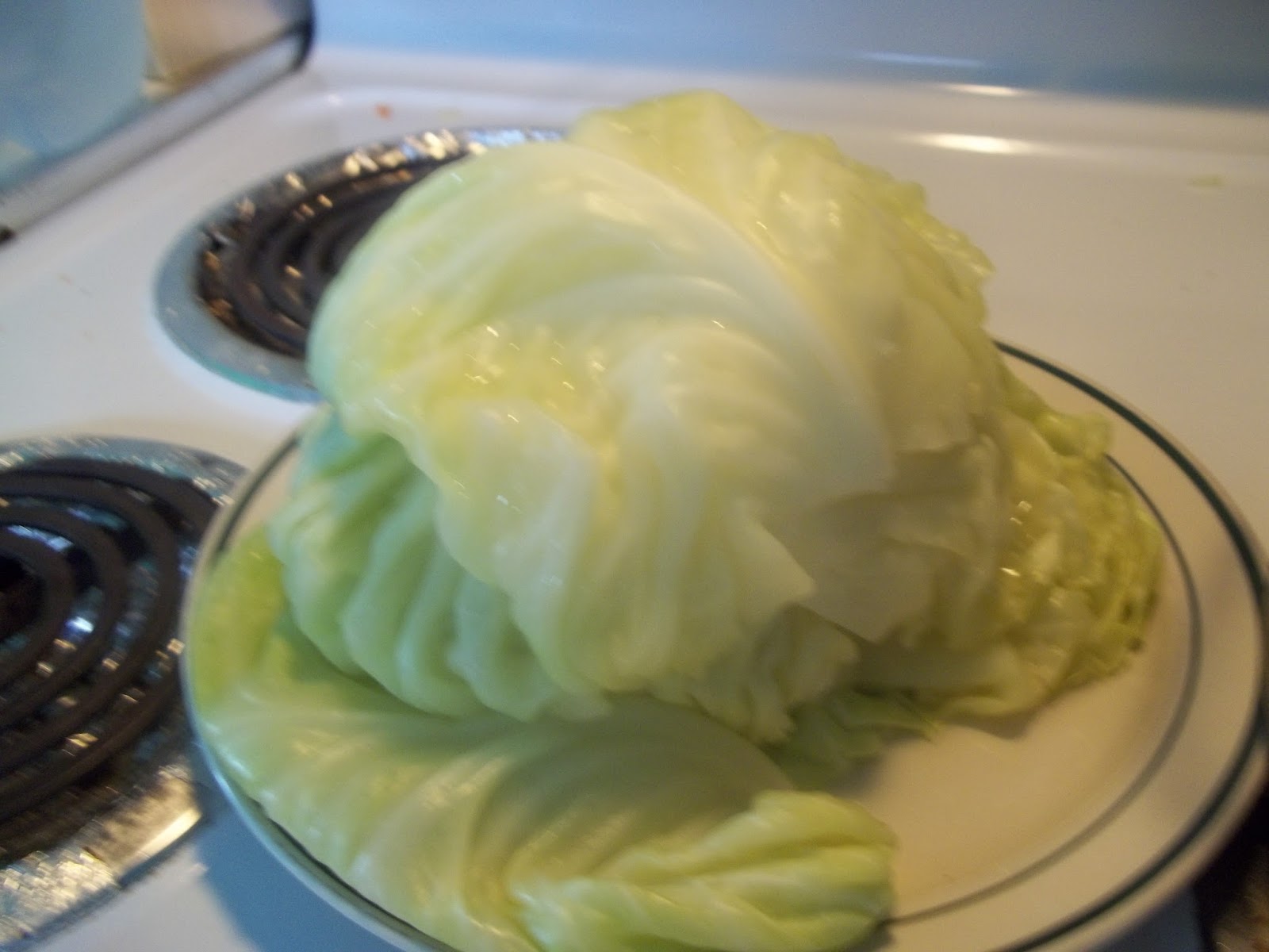 Georgia's Kitchen and MORE!: HOLUPKIS (Cabbage Rolls)