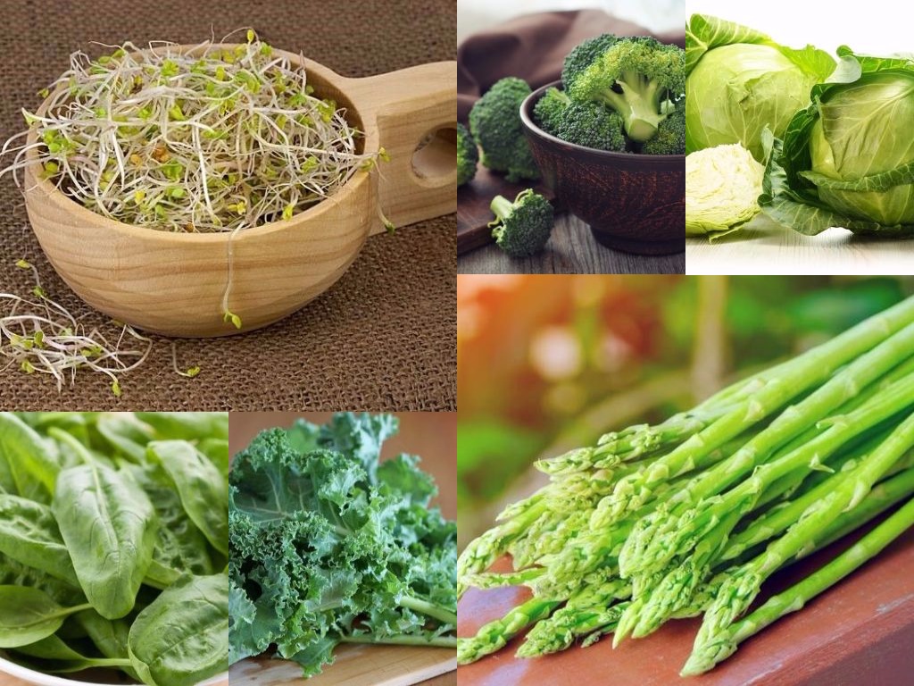 Việt Nam Ăn Chay: Thuần Thực Vật: 6 loại rau xanh giàu protein