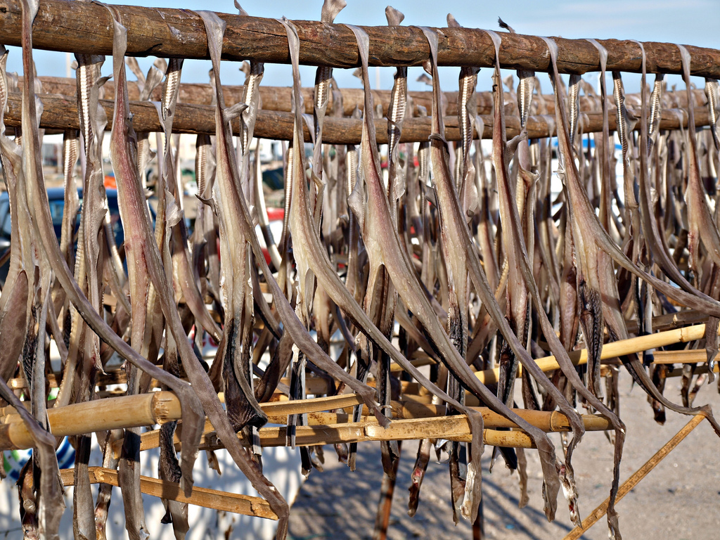 Enciclopédia de Cromos: Litão de Natal