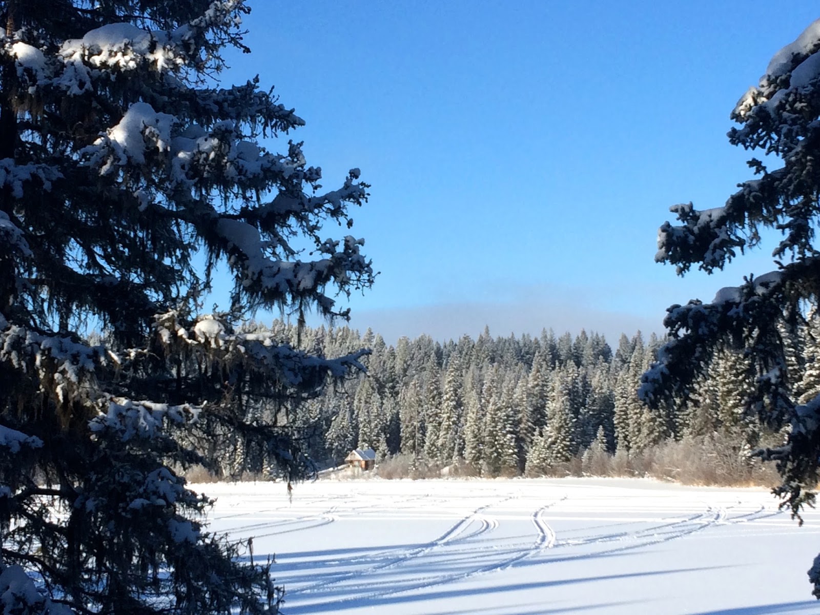 Seiklused ja jutud: Talv suvilas