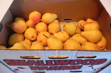 Three Minutes to Nine: Pairing Pears