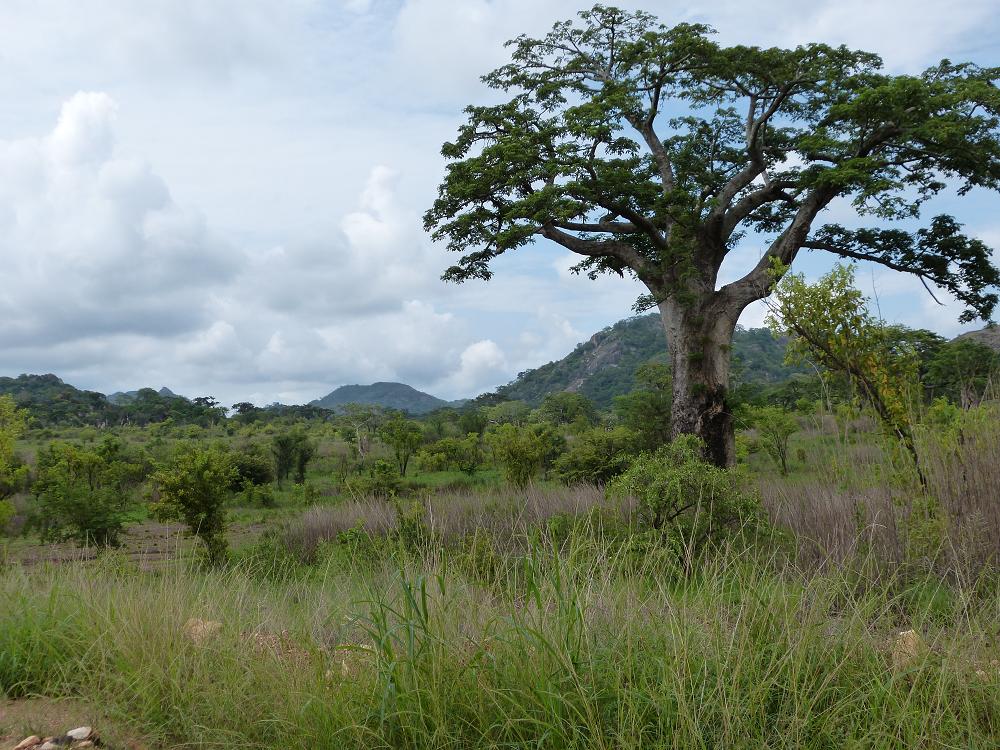 Passeando em Angola: Cambambe e arredores