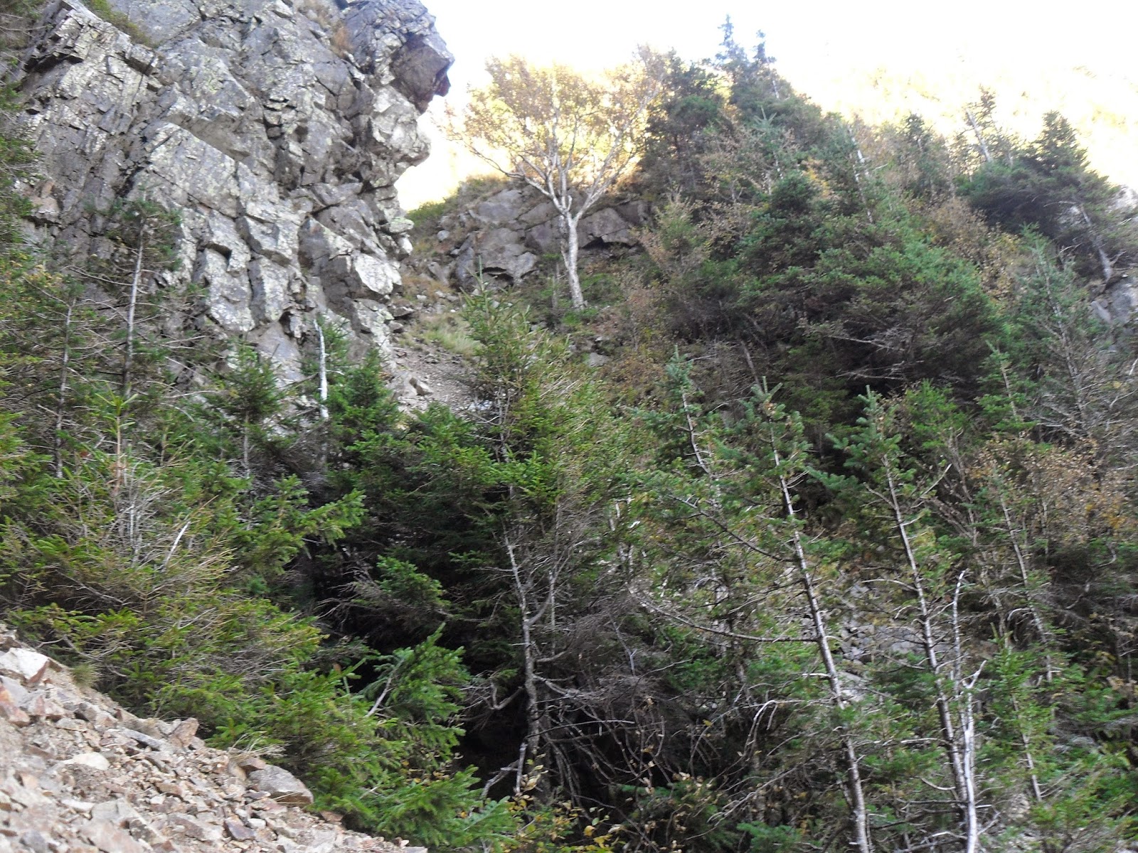 Leave The World Below: TRIP REPORT - The Eaglet and The Watcher ...