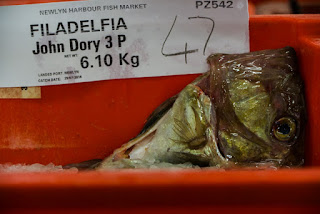 Through the Gaps! - Newlyn Fishing News: #FishyFriday is here! # ...