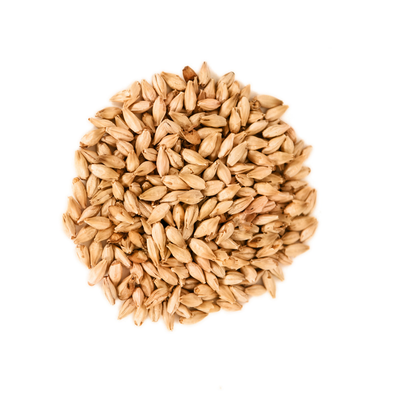 El Jardín del Lúpulo. Web especializada en cerveza.: Malta: Munich