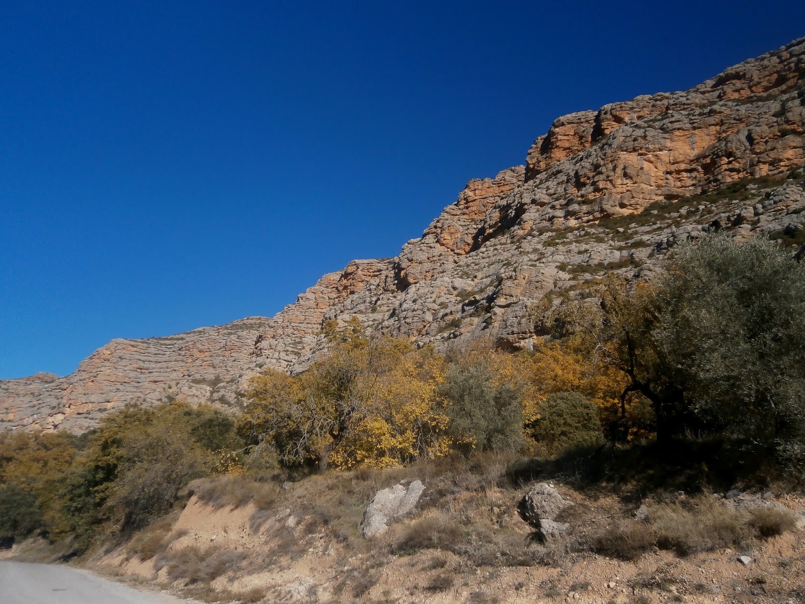 Montaña con los niños: ROC DE PESSONADA (ROCALTA)