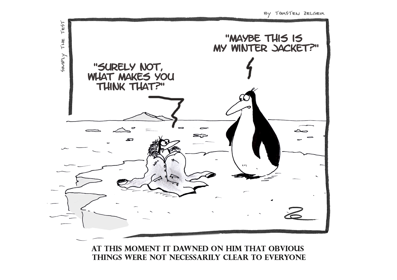 Software Testing Comic