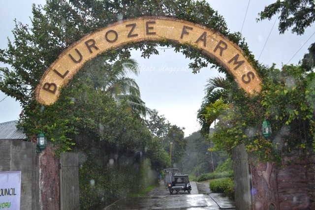 BLUROZE FARM, Park and Wildlife: Tranquility and wellness! ~ ♥Round ...