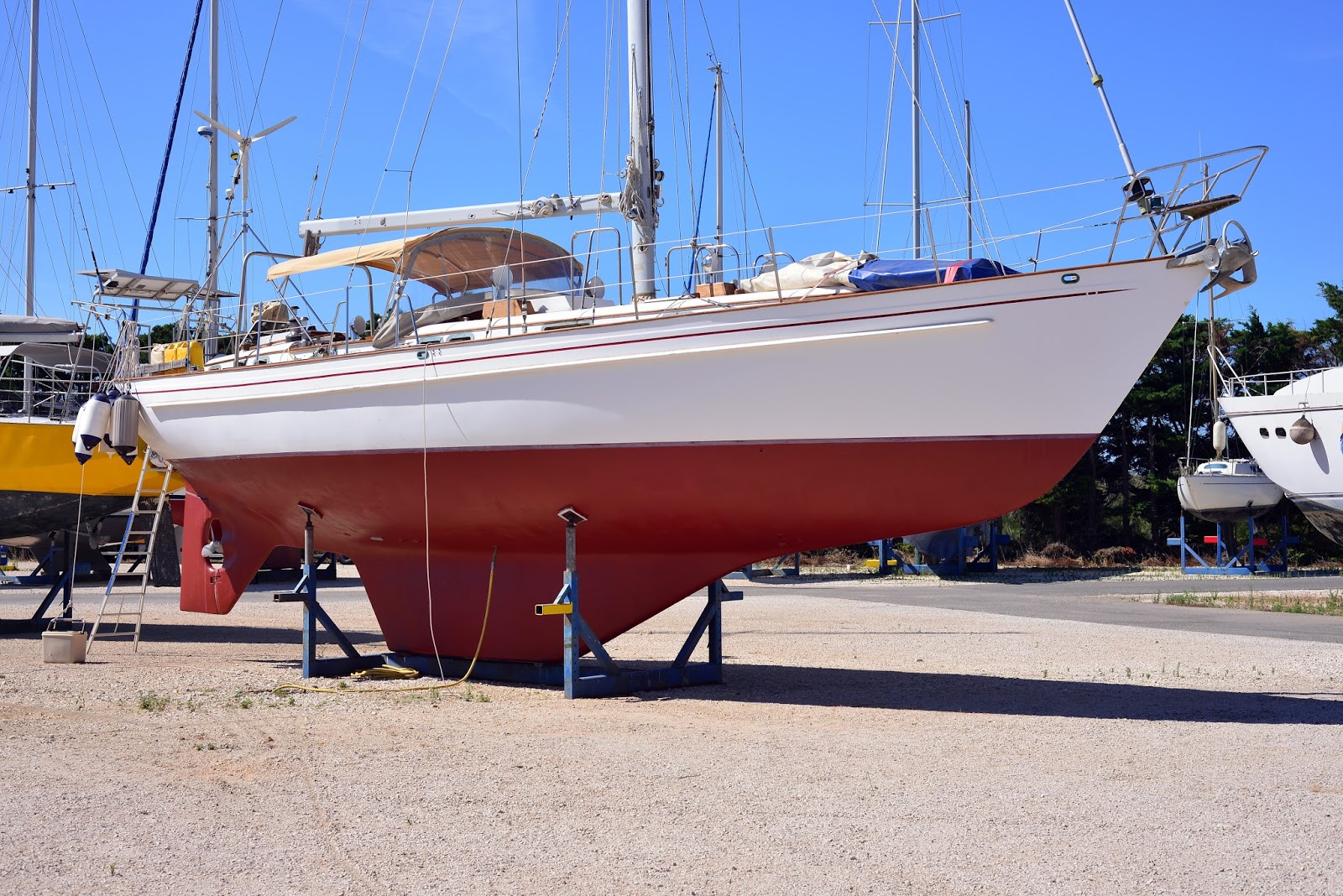 Kelly Peterson 44 for sale