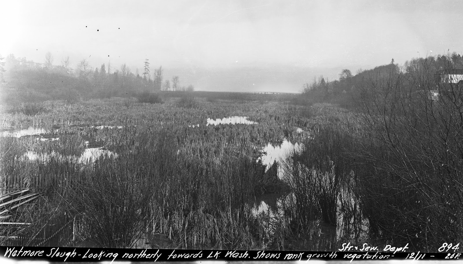 Inside Passage: Making the Cut: Rainier Valley's Wetmore Slough