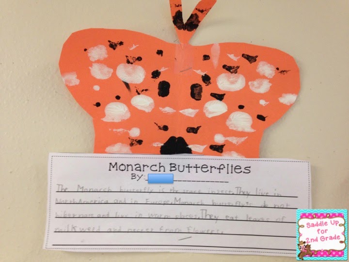 Texas Our Texas - Saddle Up for 2nd Grade