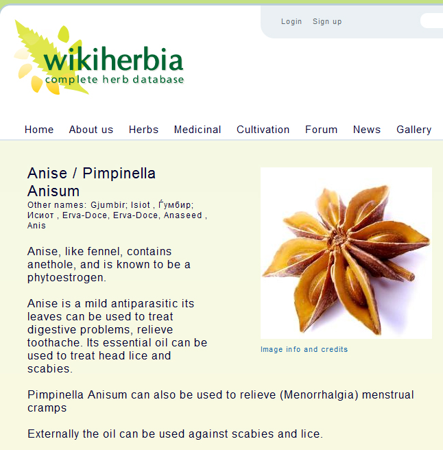 Botanical Accuracy: Wikiherbia: Anise is not the same as star anise