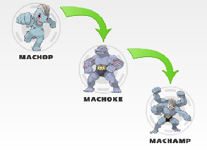 Machop Machoke Machamp