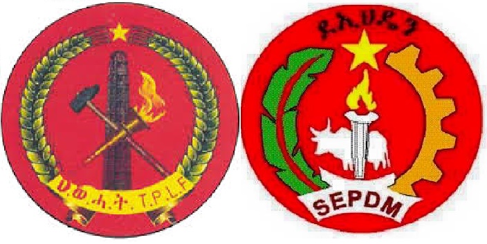 The Q: ESPDP: A New Loyal Ally to TPLF?