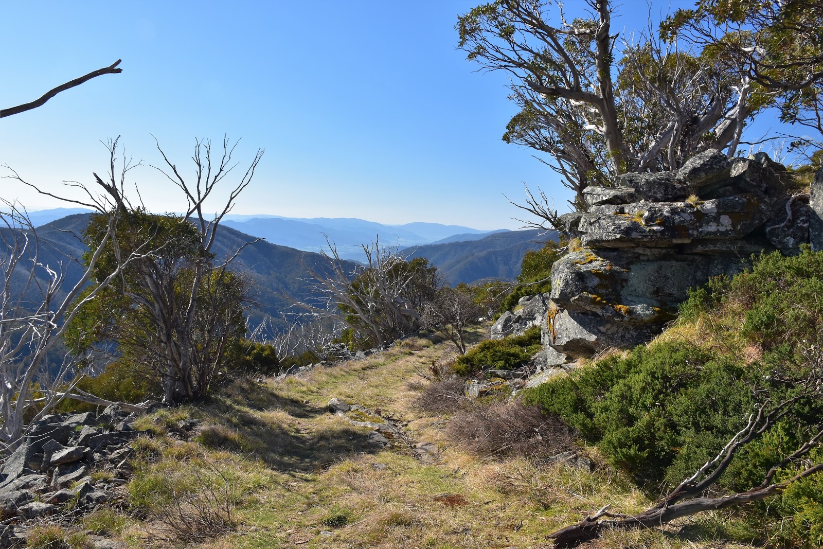 Goin' Feral One Day At A Time: Cope Hut to Big River, AAWT, Alpine ...