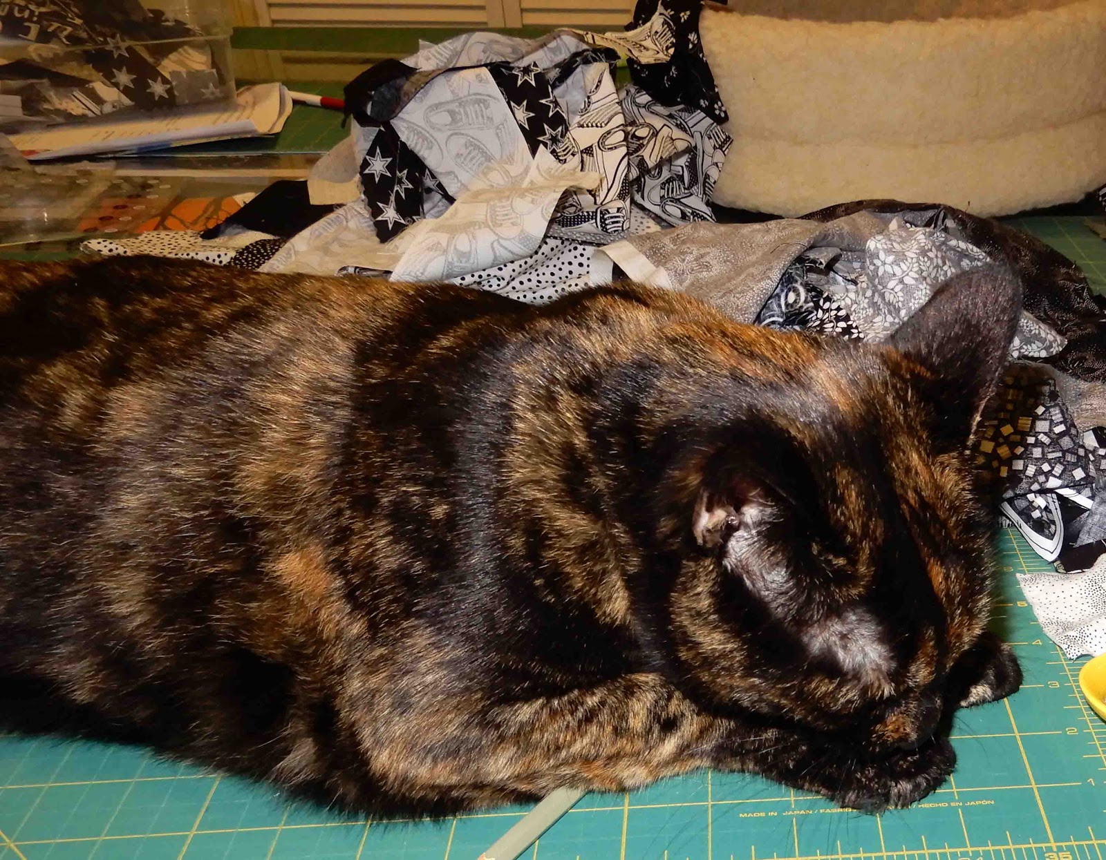 Cat Patches: Stripping with Cats