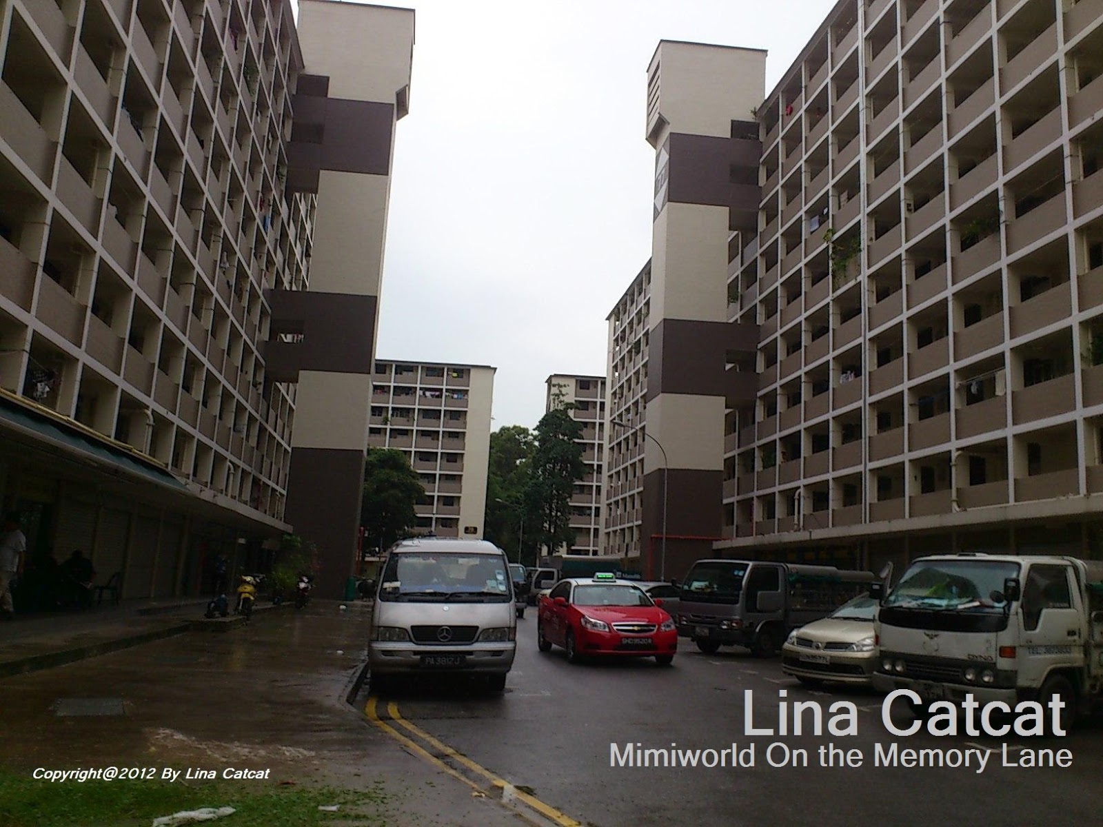 Mimiworld On the Memory Lane: Memories of Tanglin Halt Estates