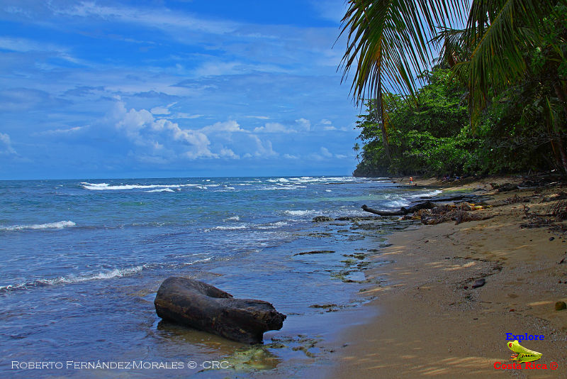 Manzanillo de Limón | Explore Costa Rica