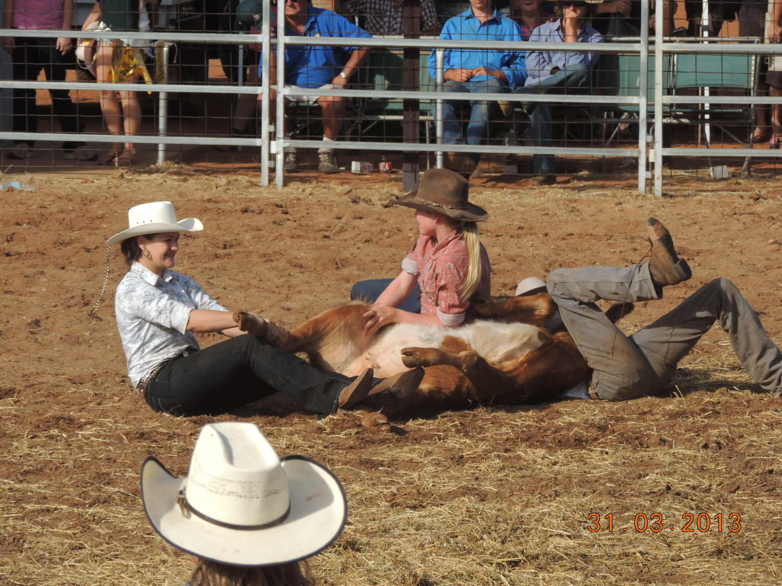 Ron & Anne's adventure: Bulls, dust and broken bones