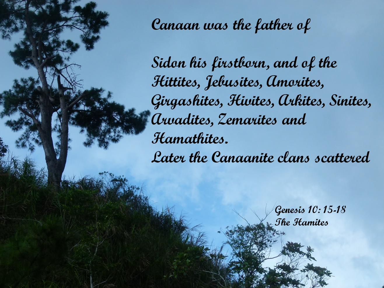 Genesis 10:15-18 The Hamites