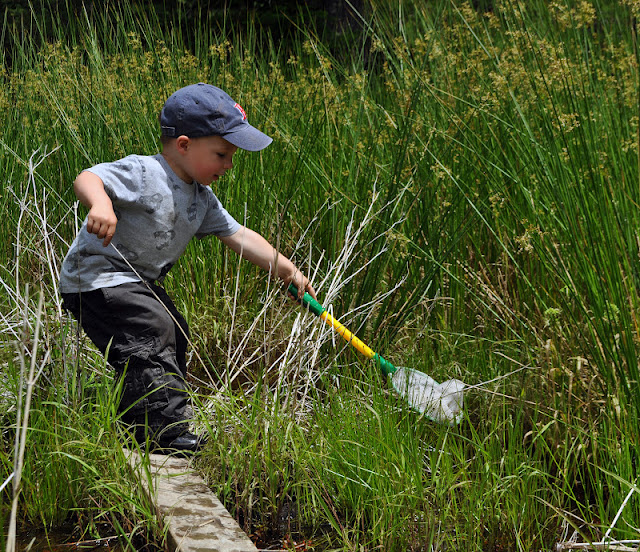 The Little Legers: Catching Frogs!