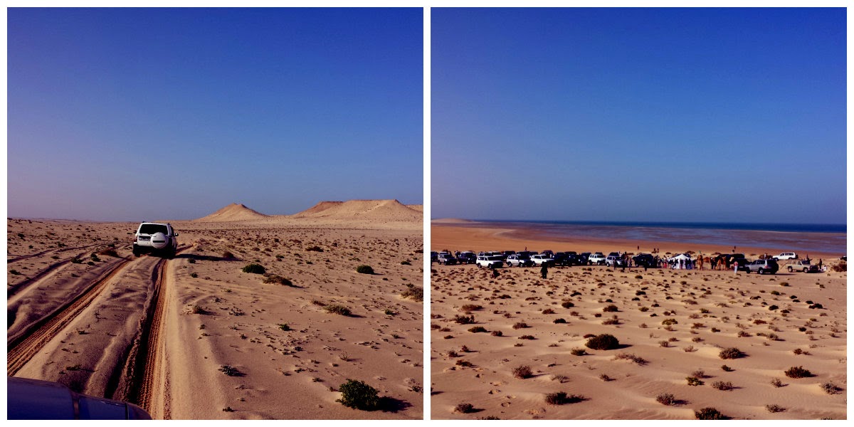 Maliva`s verden: Ørkensafari i Vest-Sahara.