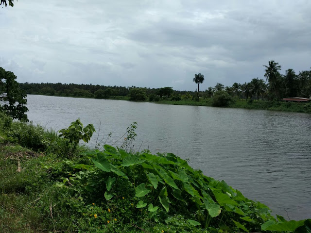 mullassery kanal - kannankad