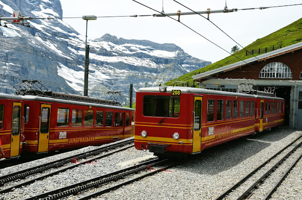 Up, close and personal with alps - Wa Tell Tales