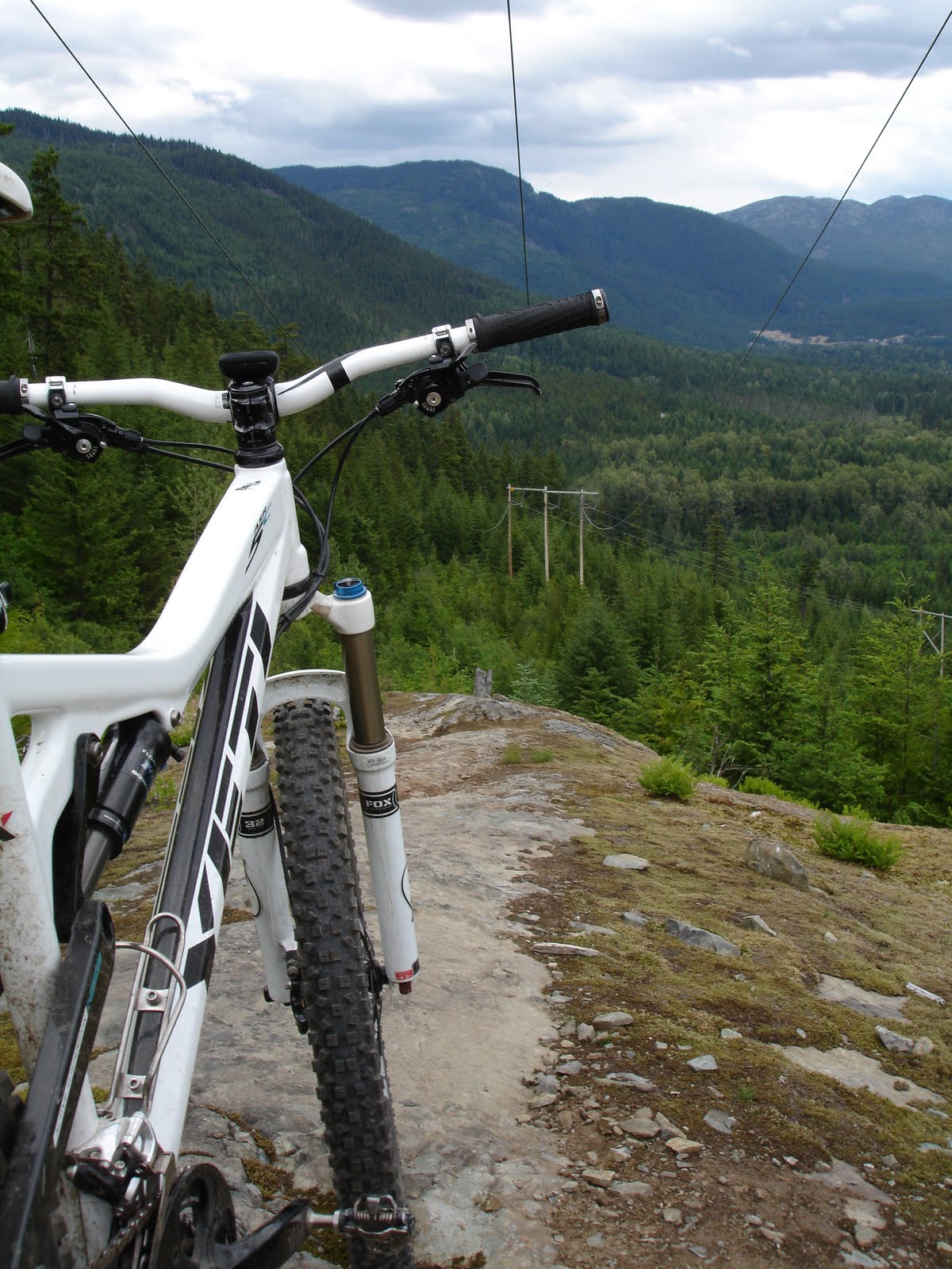 Australian Yeti Tribe