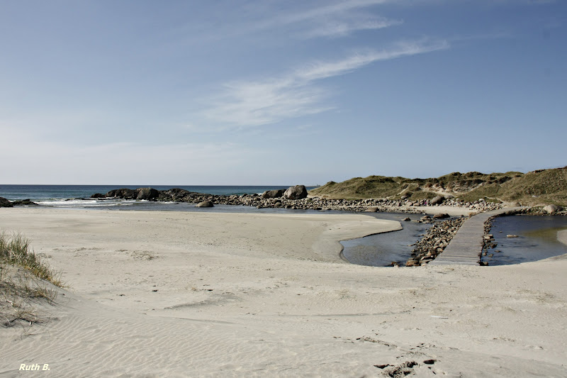 solsikken: Brusand strand