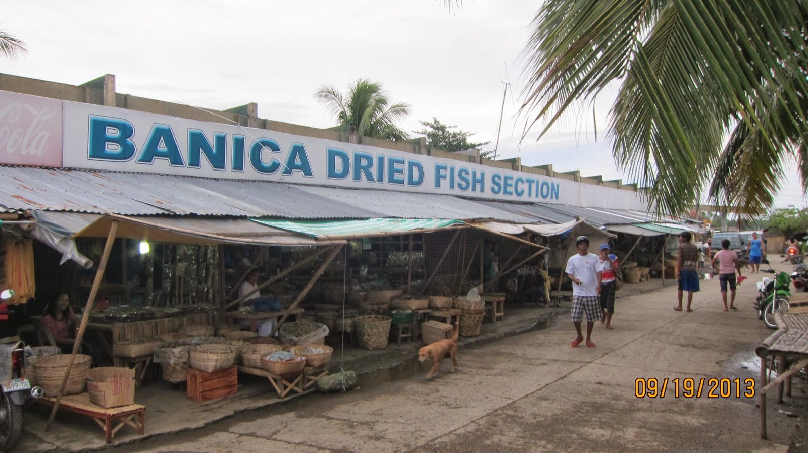 The Solitary Dolphin: A Visit to Roxas City, the Country's Seafood Capital