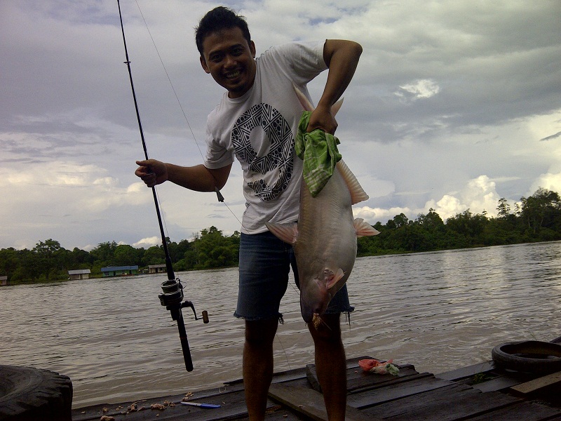 Umpan Mancing Ikan Patin Essen Oplosan Galatama atau Lomba Para Juara ...