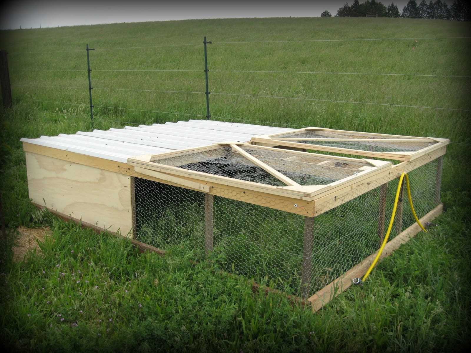 Thoughts From Jules...: The 2nd Movable Chicken Pen Project...