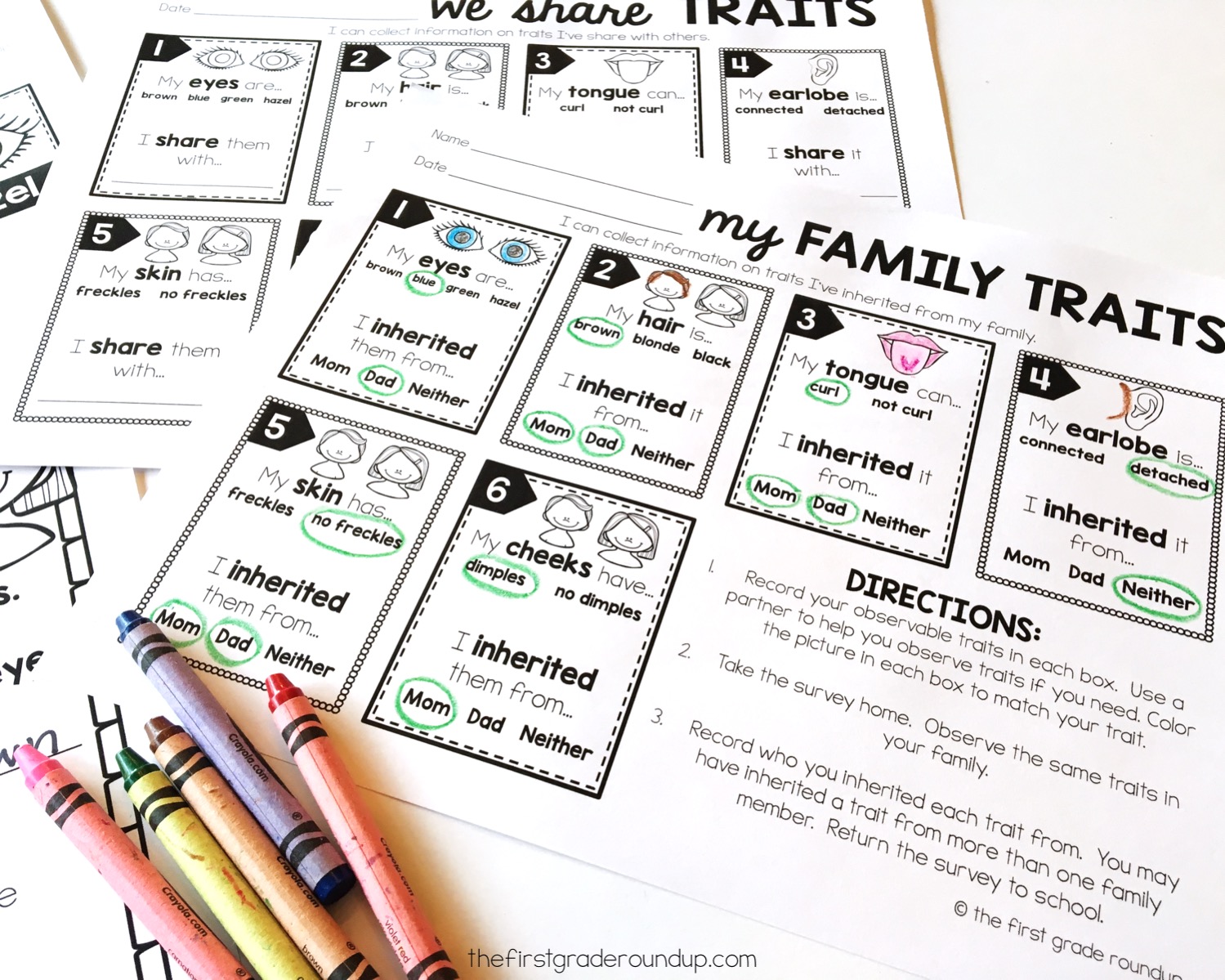 Organisms 1st grade science activities with plants and animals - The ...