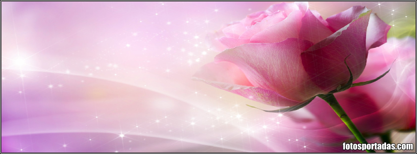 Fotos de portada rosa - Imagui
