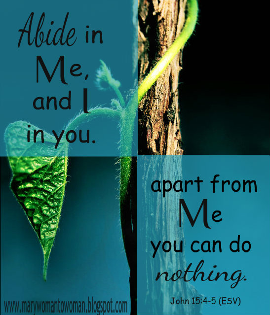 Mary @ Woman to Woman...: How Connected Are You?