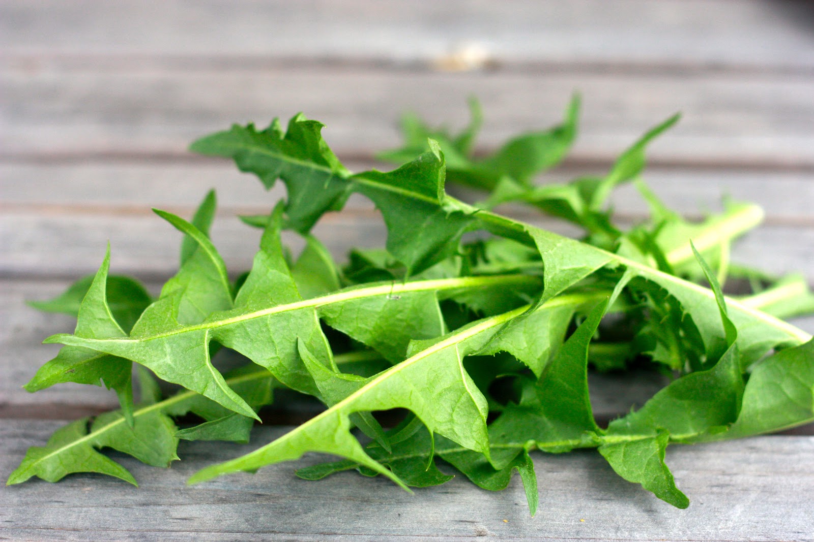 A natural food blog: Wild Dandelion and Ramp Pesto