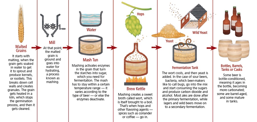 Getting Ahead Brewing Beer Class 5th