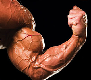 Build Muscles Faster: How To Increase Muscle Vascularity?