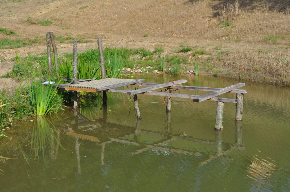 oslikarstvuinšečem: Pomol