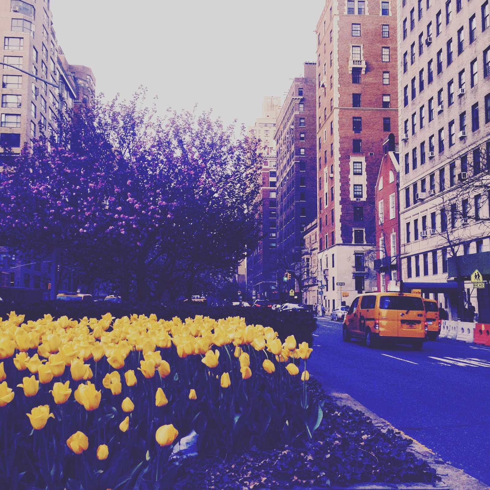 Spring Time in The City
