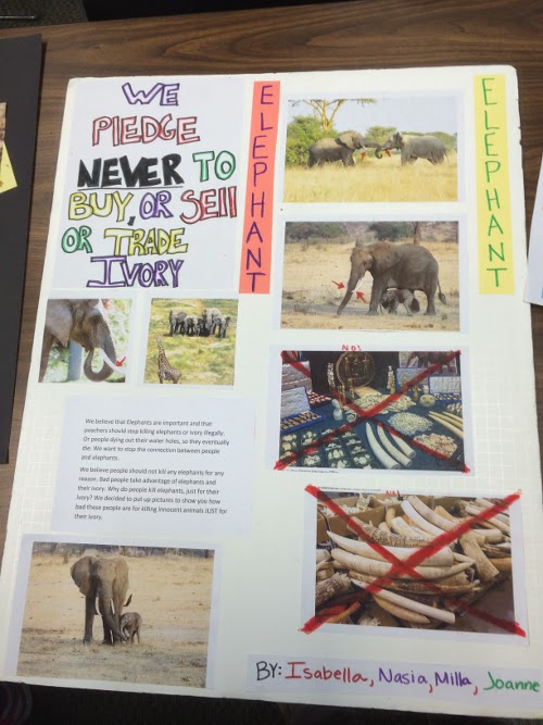 ZooCrew projects highlight African conservation