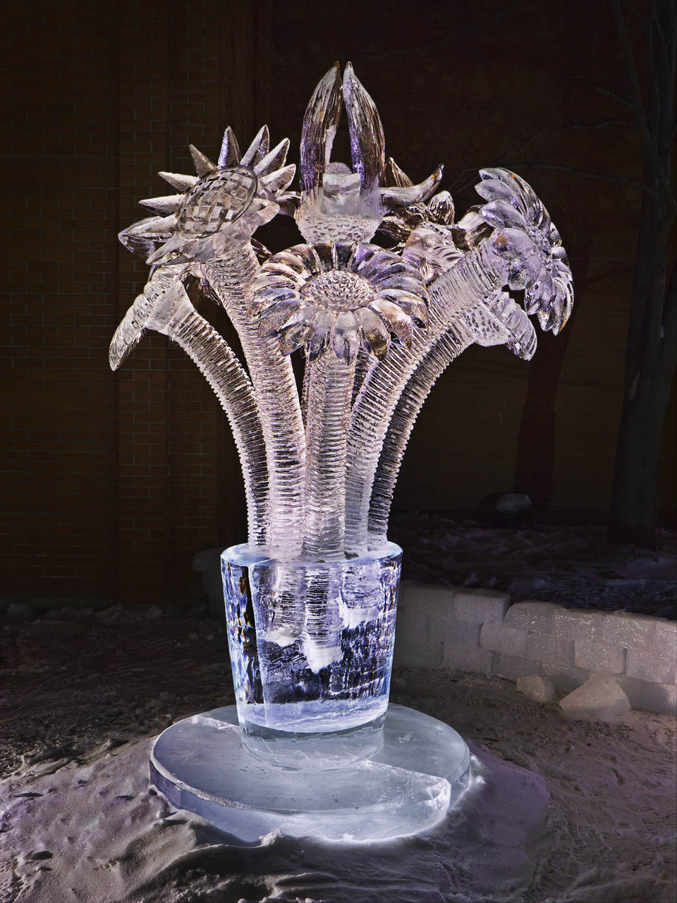Jim Cox Photos: Ice on Whyte Sculptures Flowers